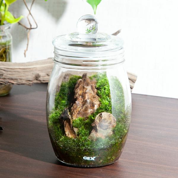interioraquabottol　ジェックス　観葉植物　レイアウト済　ＧＥＸ　グラスアクアリウム　ティアー　Ｂセット　4972547032591　ガラス　容器　ガラス容器　ボトル　ボトルアクア　ボトルアクアリウム　ガラス製　苔テラリウム...