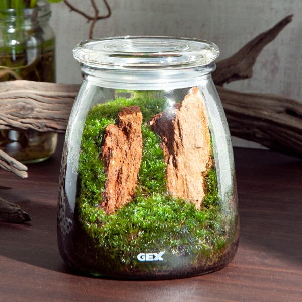 interioraquabottol　ジェックス　観葉植物　レイアウト済　ＧＥＸ　4972547032591　ガラス　容器　ガラス容器　ボトル　ボトルアクア　ボトルアクアリウム　ガラス製　苔テラリウム　コケテラリウム　ガーデニング　園芸用品...