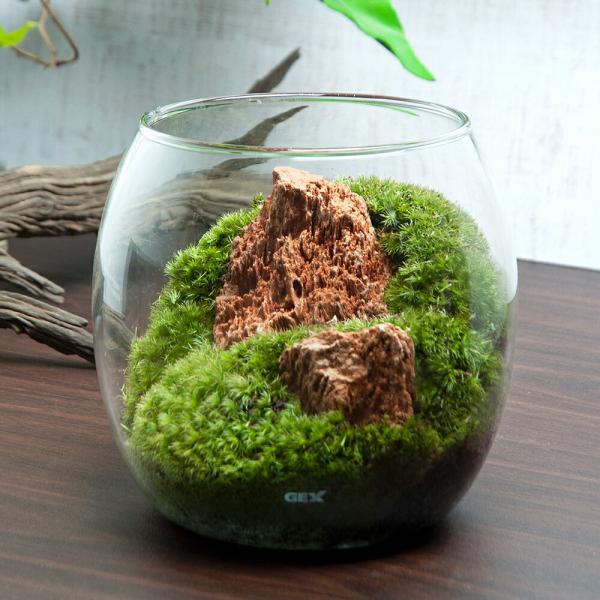 interioraquaglass　ジェックス　ＧＥＸ　グラスアクアリウム　ドロップ　Ａセット　4972547032607　ａｑｕａ　アクア用品　ガラス　ボトル　ボトルアクア　ボトルアクアリウム　容器　ガラス容器　ガラス製　アクアリウム　イ...