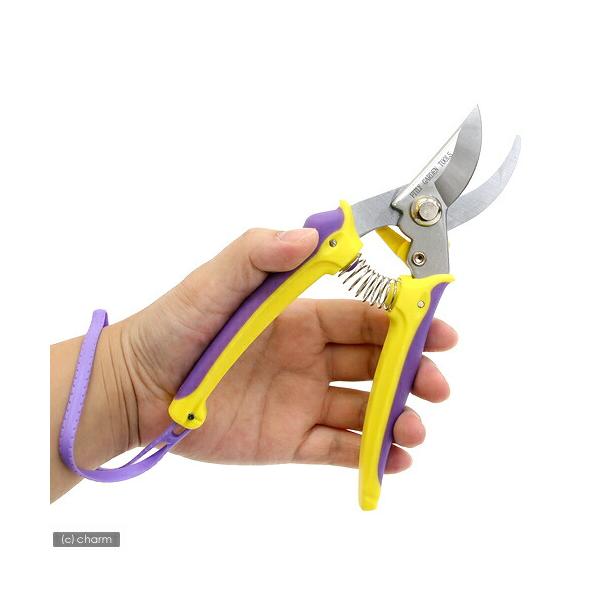 メーカー：浅香工業 sanyasoukanri　野菜　花　バラ　キク　菊　鋏　イオン　植物　剪定　はさみ　_gardening　4960517192505　opa2_delete　roseitemass