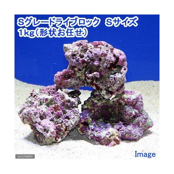 reveiwcoupon2604rk　_aqua　◎　kaisui71　海水　ライブロック　20120629　ＫＵ　sgrr_ss　lr_ss　winter_modeLR　LR71　rk500cp　mrncoup11　mrncoup21　m...