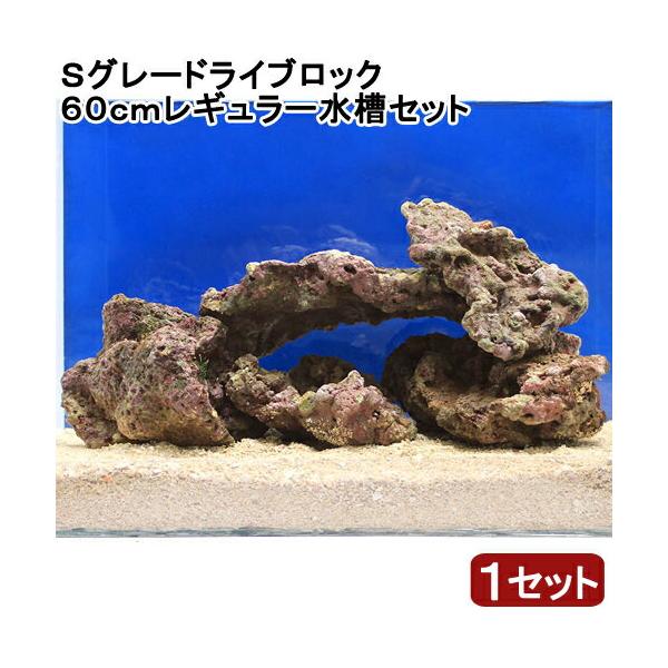 sfset　_aqua　◎　海水　ライブロック　ｌr_set60　ｌｒ_ｓ60　LR71　海水魚　ヤッコ　エンゼル　レイアウト　水槽セット　ＳＮ　20180131　sngtop2_180704　sngtop2_1807182sngtop19...