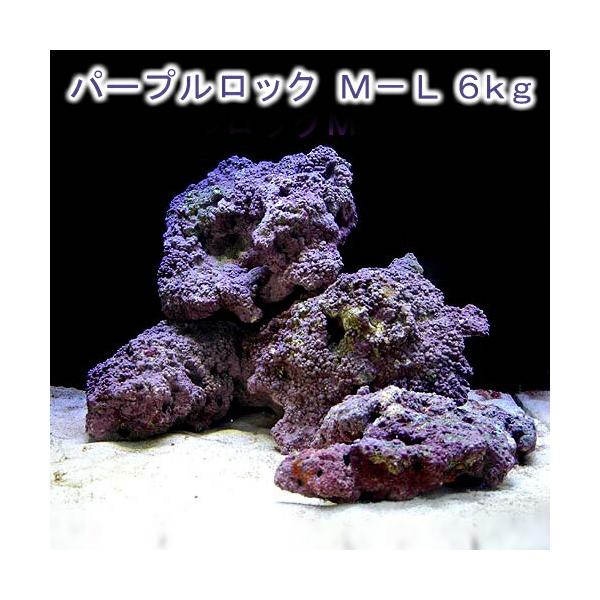 sfset　_aqua　◎　kaisui71　海水　石　岩　ブロック　ムラサキ　紫　石灰藻　ライブロック　パープルロック　p_glade_lr　20130809　ＯＳＨ　lr_sm　lr_sl　winter_modeLR　LR71　lr11...