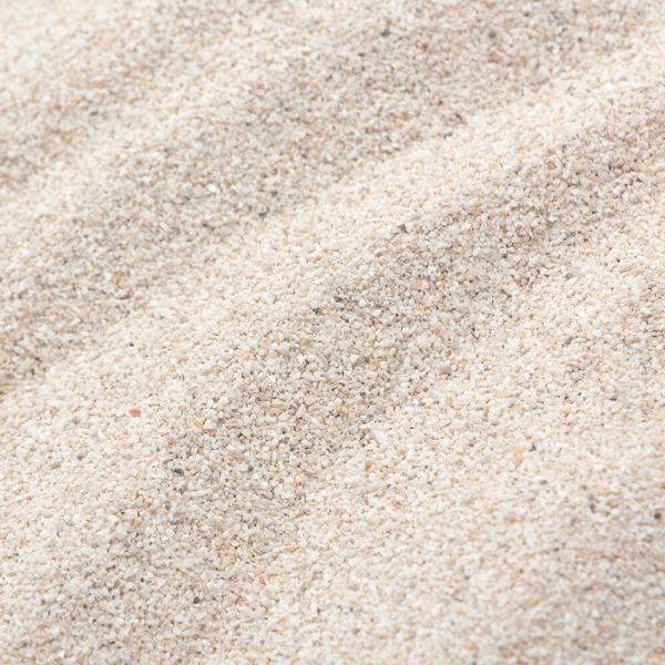 メーカー：ＣＰＦａｒｍ ＃０　Ｃ．Ｐ．Ｆａｒｍ　天然サンゴ砂＃０　Ｎａｔｕｒａｌ　ｃｏｒａｌ　ｓａｎｄ　３Ｌ　アクアリウム　アクア用品　海水水槽用　海水用　底砂　天然サンゴ　サンゴ砂　白　しろ　ホワイト　海水魚　ｐH　ＫＨ　上昇　安定　化石...
