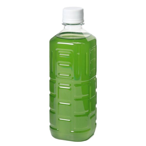 PF_SPQ　fish_databas　クロレラ　植物プランクトン　生き餌　アクア用品　餌　給餌器　生餌　ブライン　クロレラ水　500cc　グリーンウォーター　金魚　メダカ　器具　_aqua　青水　稚魚　育成　繁殖　ブリード　fry_bai...