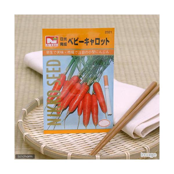 _animal　ガーデニング　ハーブ　野菜　果物　種まき１月　種まき２月　種まき３月　種まき４月　種まき５月　種まき６月　種子　yasainotane02　Ｓ06　seedPD0525　_gardening　4964545023213　育て...