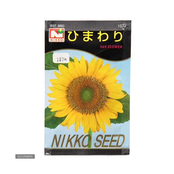 メーカー：日光種苗 _animal　花の種　ひまわり　種　ヒマワリ　向日葵　S06　garewm17　himawari　20110612　sun_flower　20120613　_gardening　育て方　育成方法　栽培方法　opa2_stop