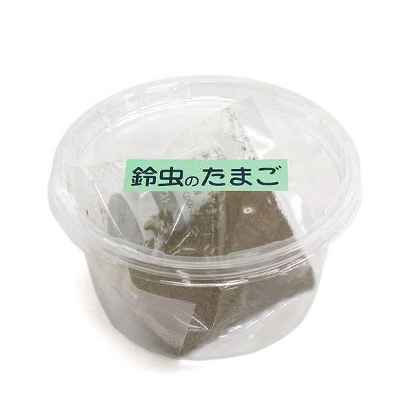 その他生体　夏　鈴虫　鳴き虫　鳴虫　スズムシ　すずむしプロシリーズ　鈴虫のたまご　_insect　たまご　卵　opa2_none　size_unmeasure　lihomoeogoods　20240124　linerinc0310　　直翅目...