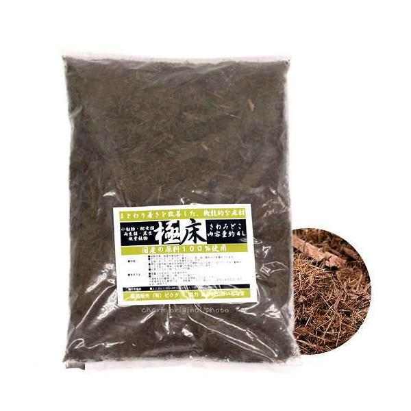 メーカー：ピクタ kjKPgai　_kame　亀・爬虫類　陸ガメ　爬虫類　敷砂　_hachu　4571232870045　アクアリウム　tera_modeling　opa2_delete　melma2302pointpi