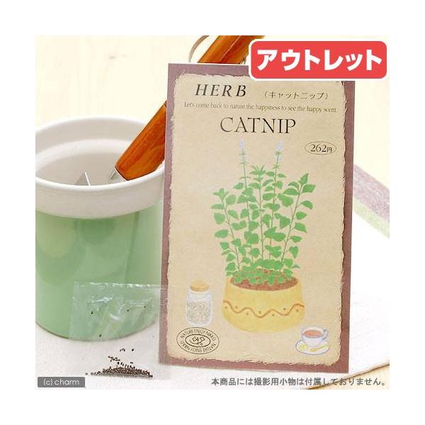 ガーデニング　ハーブ　野菜　果物　S06　ハーブの種　種まき３月　種まき４月　種まき５月　種まき９月　種まき１０月　種まき１１月　ijbgy70　pd0816_gardening　seedPD0525　_gardening　49645450...