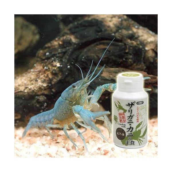メーカー：イトスイ アクアリウム用品　アクア用品　餌　小粒　顆粒　コメット　ザリガニ・カニの主食　沈下性　４０ｇ　ザリガニ　カニ　甲殻類　aqua　熱帯魚・エビ他　_aqua　4971453054000　tsfod　opa2_delete　...