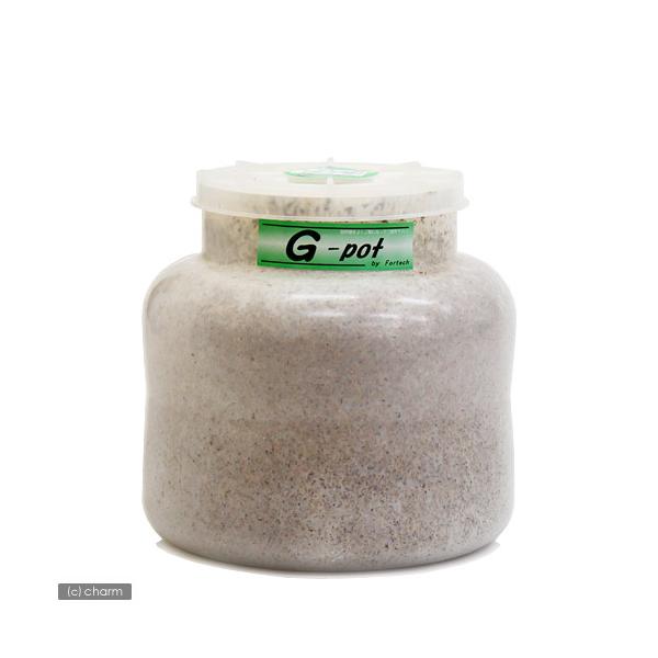 メーカー：フォーテック coollogist　夏季クール対応　昆虫用品　飼育用品　ブリードシーズン　菌糸ビン　オリジナル飼育セット　菌糸ビン幼虫セット　▲ニジイロクワガタ　startset_insect　startset_kuwagata　...