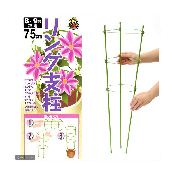 メーカー：第一ビニール 支柱　ガーデニング　ハーブ　野菜　トマト　ツル　夏　プランター　家庭菜園　20100523　MI　asagao_goods　_gardening　4968438002132　tomato1604　リング支柱　７５ｃｍ...