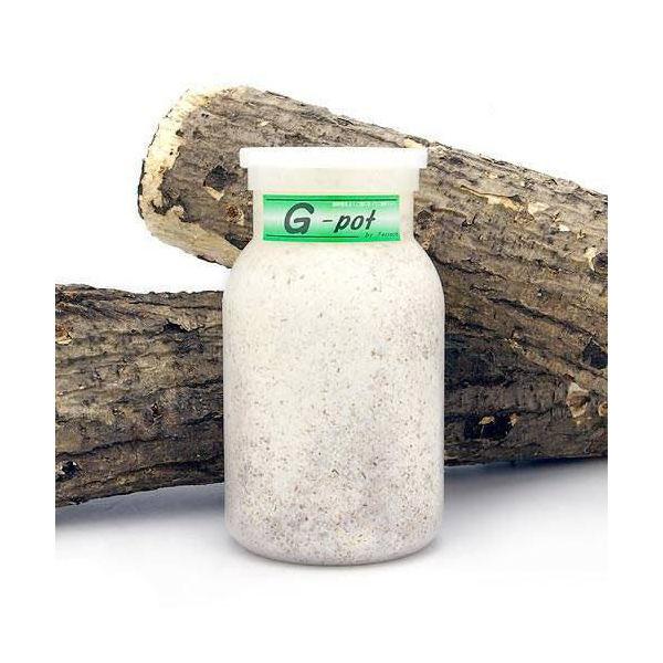 メーカー：フォーテック coollogist　夏季クール対応　昆虫用品　飼育用品　ブリードシーズン　菌糸ビン　オリジナル飼育セット　菌糸ビン幼虫セット　▲ニジイロクワガタ　startset_insect　startset_kuwagata　...