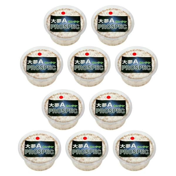 メーカー：ブリーダーズファーム coollogist　夏季クール対応　昆虫用品　kuwagatayotyuugood　飼育用品　ＸＬシリーズ　xlpot2300　kawara　カワラ材・カワラ菌糸ビン　カワラタケ　カブトムシ　クワガタ　用品...