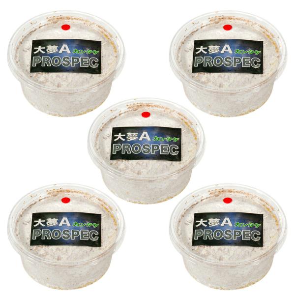 メーカー：ブリーダーズファーム coollogist　夏季クール対応　昆虫用品　kuwagatayotyuugood　飼育用品　ＸＬシリーズ　xlpot2300　kawara　カワラ材・カワラ菌糸ビン　カワラタケ　カブトムシ　クワガタ　用品...