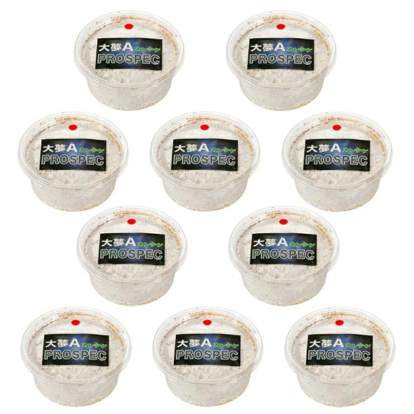 メーカー：ブリーダーズファーム coollogist　夏季クール対応　昆虫用品　kuwagatayotyuugood　飼育用品　ＸＬシリーズ　xlpot2300　kawara　カワラ材・カワラ菌糸ビン　カワラタケ　カブトムシ　クワガタ　用品...