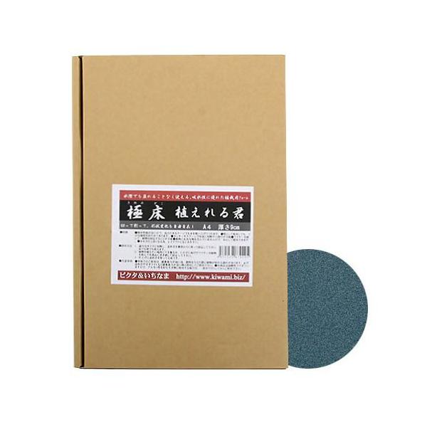 メーカー：ピクタ paludarium　パルダリウム　テラリウム　line2462terarium　kjKPgai　tmKPkin　亀・爬虫類　陸ガメ　爬虫類　シェルター　_hachu　4582113920360　フォーム　20141214...