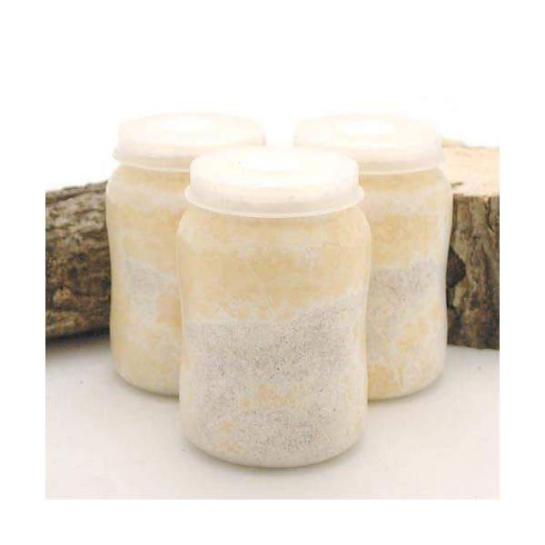 メーカー：(株)リーフ Leaf Corp coollogist　夏季クール対応　昆虫用品　kuwagatayotyuugood　飼育用品　カブト・クワガタ・用品　菌糸ビン　産卵木他　hiratake　cup　菌糸ビンhiratake　菌糸...