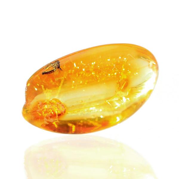 stone0701leaf　形状おまかせ　虫入りコハク　１個　アンバー　石　化石　コハク　琥珀　虫入り　鉱石　鉱物　コレクション　アクセサリー　バルト海　バルト海産　4582645933289　kszk　sk0311_n　20230615　...