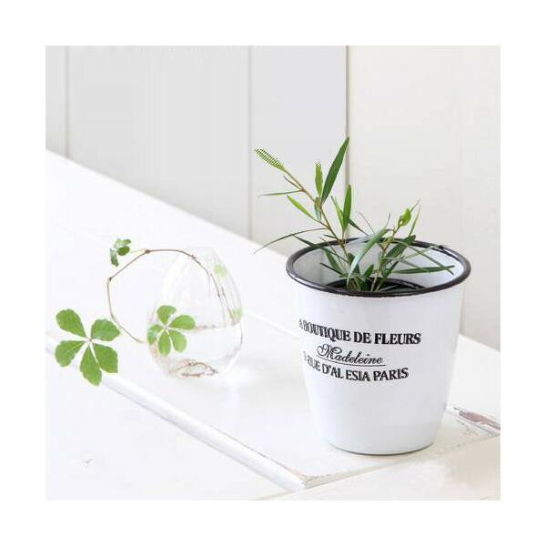 _gardening　ガーデニング　観葉植物　ハーブ　ティーツリー　ティツリー　メラレウカ　ティートゥリー　虫除け　musikonai_pio　mushiyoke_plants　除虫草　虫よけ　herbpot_series　育て方　育成方法...