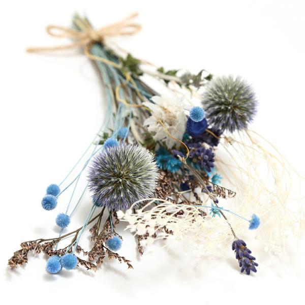 メーカー：(株)リーフ Leaf Corp リーフコーポレーション　リーフコーポ　リーフ　ＬＥＡＦ　Corp　インテリア　雑貨　ハーバリウム　HERBARIUM　herbarium_series　ドライフラワー　プリザーブドフラワー　標本　...