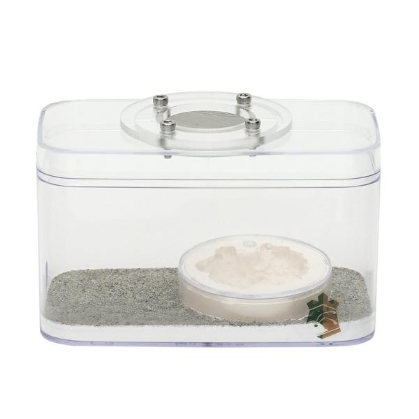 リトルカーペンターズ　アリ飼育用　レイアウト済み餌場　シングルルーム　昆虫　飼育用品　アリ　アリの巣　自由研究　夏休み　コロニー　部屋　巣　飼育　hwlist　20220614　KSZK　y22m06　lineinc15　虫　飼育容器　ムネ...