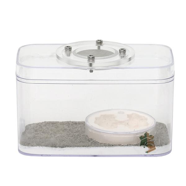 リトルカーペンターズ　アリ飼育用　レイアウト済み餌場　ダブルルーム　昆虫　飼育用品　アリ　アリの巣　自由研究　夏休み　コロニー　部屋　巣　飼育　hwlist　20220614　KSZK　y22m06　lineinc15　虫　飼育容器　ムネア...