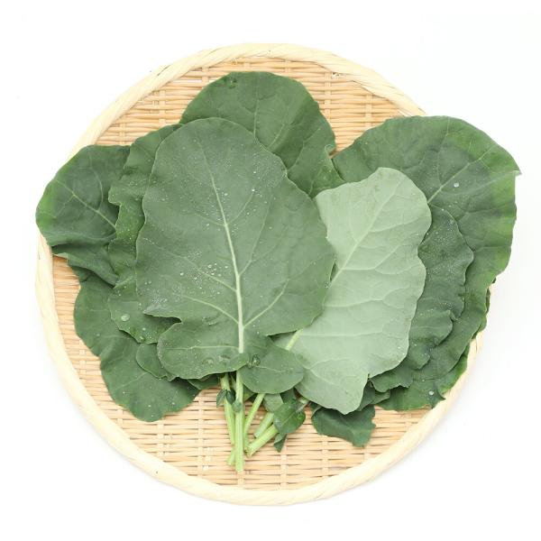 メーカー：(株)リーフ Leaf Corp リーフコーポレーション　リーフコーポ　リーフ　ＬＥＡＦ　Corp　USAYAMA　ウサヤマ　nmbklist　_animal　animal　国産　とれたて　小動物　鳥　うさぎ　繊維　葉っぱ　ブロッ...