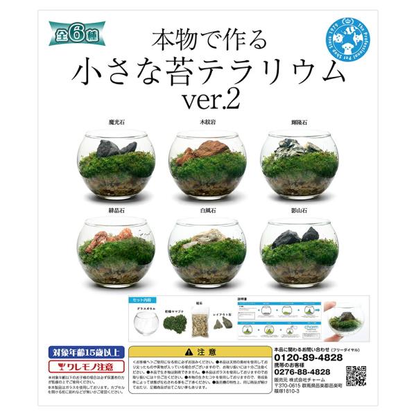 line2462terarium　種類おまかせ　本物で作る　小さな苔テラリウム　コケテラ　苔テラ　テラリウム　ボトルテラリウム　カプセルトイ　レイアウト　インテリアグリーン　小型水槽　インテリア　グラス　ボトル　石　風山石　木化石　溶岩石　...
