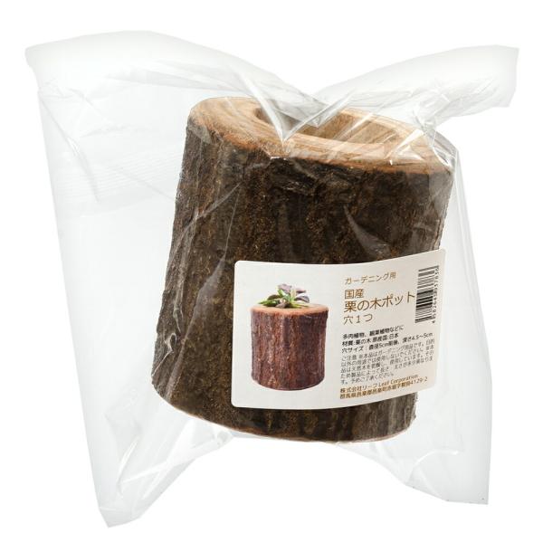 国産栗の木　ポット　穴１つ　4582645937836　ガーデニング用品　園芸用品　ポット　飾り鉢　植木鉢　ポットフット　鉢置き　２号ポット　多肉植物　サボテン　ハオルチア　日本産　国産　くりの木　栗木　特殊鉢　鉢カバー　ｋｓｚｋ　2023...