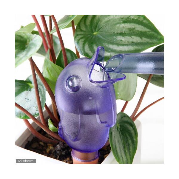 rusuban_gardening　ガーデニング　園芸用品　インテリア　インテリア・雑貨他　水やり　水あげ　自動給水器　給水　水差し　スプレー　スプレイ　ドイツ　肥料差し　霧吹き　ジョウロ　ジョーロ　シューリッヒ　bordy　werter　...