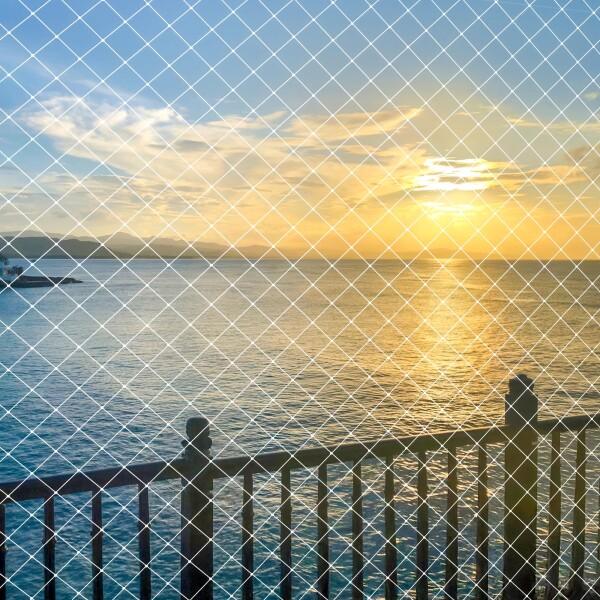 DANOFY 防鳥ネット 2.5m×5m ベランダ 鳥よけネット - 20mm目合 ナイロン 網 鳩 カラス 鳥害対策 ブルーベリー 果樹用 鳥 避けネット 透明商品コード：49078932184型番：DY-FNW002サイズ：2.5m×5...