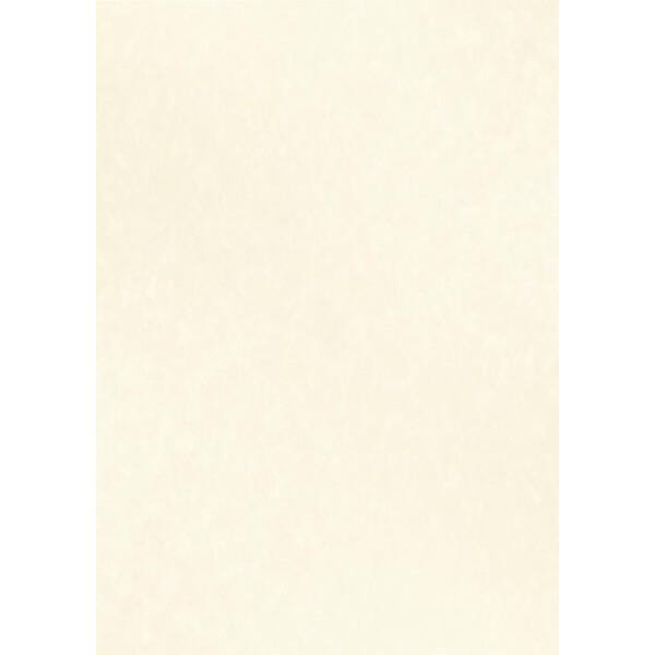 ASTAR 証明書 10枚 印刷用賞状用紙 書き込み可能な法定書類 重要書類の印刷 学術証明書用 美術用紙 羊皮紙 奉書紙 証書 謝辞 便箋商品コード：49079538217型番：900116-10サイズ：10枚カラー：ライトブラウン【商品...