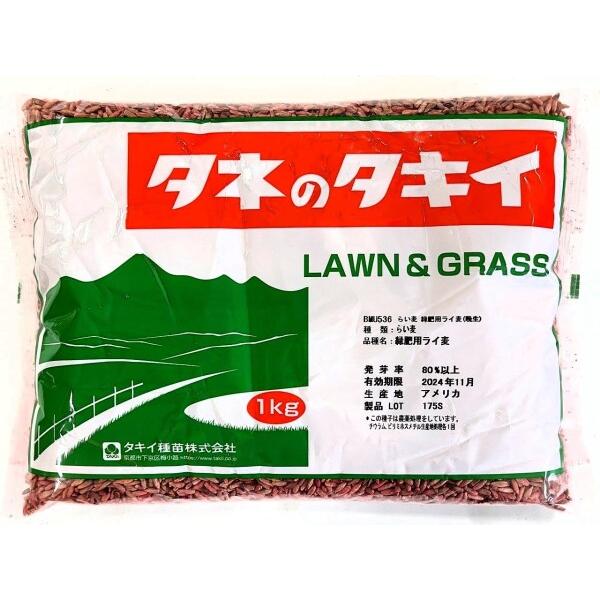 ライムギ 緑肥用ライ麦 1kg（タキイ種苗）商品コード：49081120615型番：MBU536サイズ：1kgカラー：緑緑肥専用のライ麦です。晩成なので収量が多く、有機物を豊富に供給することができます。ライムギは耐寒性が強いため広い地域で越...