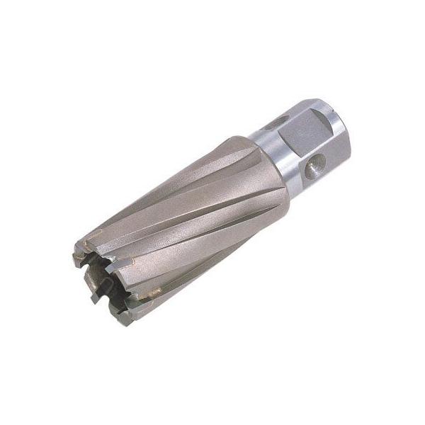 日東 ジエットブローチワンタッチタイ NO.16322商品コード：49081123824型番：NO-16322サイズ：刃径(mm):22.0カラー：シルバー刃径(mm):22.0最大加工板厚(mm):35適合機種:日東工器製:アトラエースク...