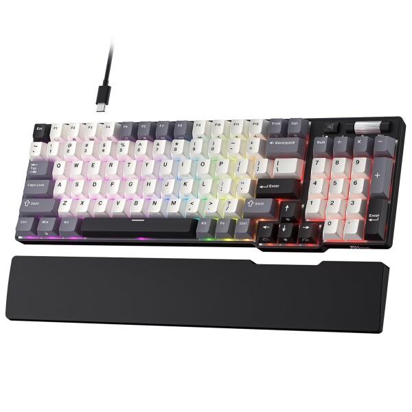 RK ROYAL KLUDGE C96 HE メカニカルゲーミングキーボード、ホール効果磁気スイッチ、ホットスワップ対応 90% 有線 RGB キーボード（リストレスト付き）、ラピッドトリガー調整可能アクチュエーション、8K ポーリングレー...