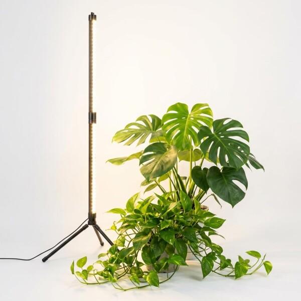 Raygrov 植物育成ライト led 2段タイマー（3/9/12時間）10段階調光 LED 省エネ 自立式スタンドタイプ 室内栽培 太陽光 観葉植物 スタンドライト (91cm)商品コード：49081254662型番：RLI-T10サイズ...