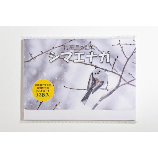 pirkapuri ポストカード セット 北海道の動物(1) シマエナガ （冬） 105×148mm（12枚入）商品コード：49081317714型番：PS001サイズ：縦105mm×横148mmカラー：白・内容:12枚入・ポストカードサイ...