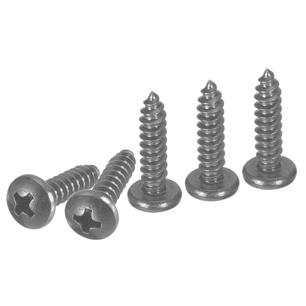 DTGN #10x3/4" 黒ネジ - 25個入り - 304ステンレス鋼 パンヘッド 十字穴 薄板金属用 セルフタッピングネジ 木ネジ商品コード：49081390074型番：dtf240828tt000284jpサイズ：#10x3/4"カ...