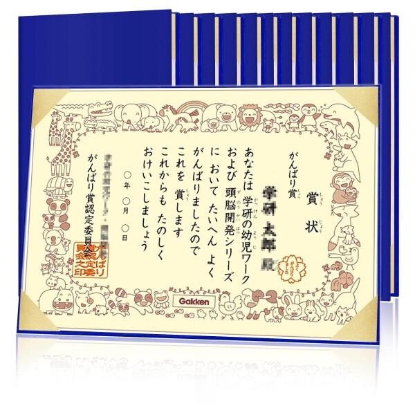 DonGee 賞状ファイル 証書ファイル 10冊セット 花の印 A4判用 Certificate/Document Cover 二枚用 金の角辺 感謝状 卒業証書 合格証書 表彰状 飲食店のメニューに 店舗カタログに (ブルー, 10冊セッ...