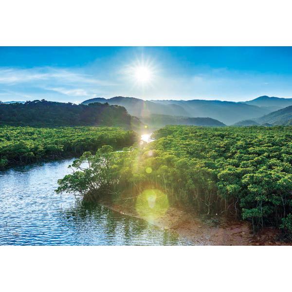 サイズ：26×38cm300ピース今回世界遺産へ登録された地域は中琉球の奄美大島、徳之島、沖縄島北部と南琉球の西表島にて構成されています。 イリオモテヤマネコなどの絶滅危惧種や固有種を含む多くの生物が生息し「東洋のガラパゴス」とも呼ばれるか...