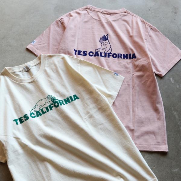 テス トップス ユニセックス TES セイム オールド 半袖 Tシャツ フロッキープリント TES SAME OLD TEE ピンク/アイボリー PINK/IVORY 2色展開使用素材コットン100%サイズS肩幅 44cm 着丈 63cm ...