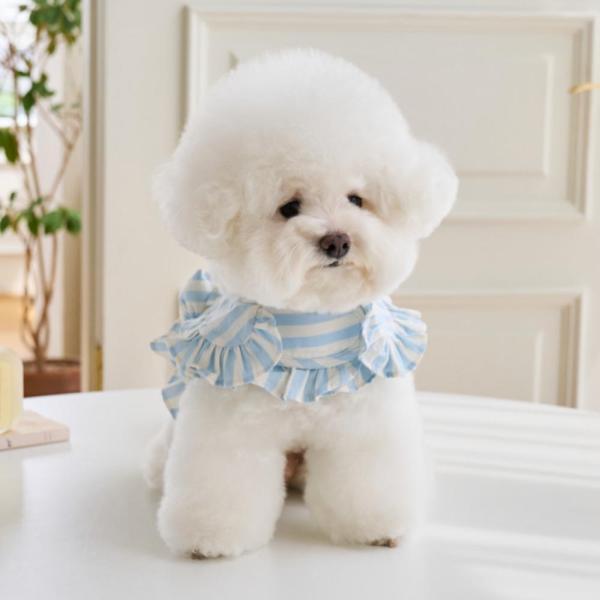 犬用ハーネス 保冷剤ポケット付 夏用 コットン マジックテープ 小型犬 熱中症対策グッズ。爽やかなストライプ柄と肌にやさしいコットン素材を採用。背中には保冷剤ポケット付きで暑い季節も安心。マジックテープ式で簡単に着脱でき、散歩前の準備もラク...