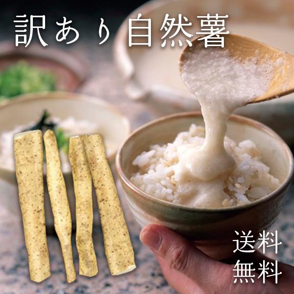 名称自然薯（山芋）品名訳あり自然薯内容量1kg（本数未定）賞味期限冷蔵（低温）保存で約2週間原材料名自然薯保存方法直射日光、高温多湿を避け冷暗所（5?7度）で保管してください原産国日本（静岡県）販売者株式会社いなば園静岡県牧之原市須々木25...