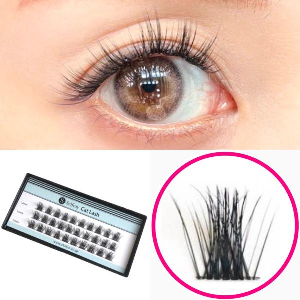 1束付けただけでも存在感が出るエクステなので、簡単にボリュームを出したい方にオススメ！キャットラッシュは、 ●1束でボリュームが欲しい方●アイライナー効果出したい方にオススメ！！カール：Cカール内容量：30束入り