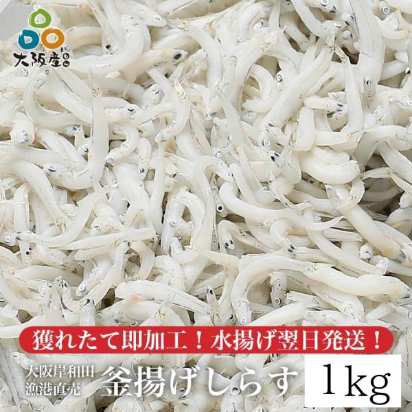 一度も冷凍しておりません。冷凍してないからふっくらした食感が楽しめます。水揚げから釜揚げ、商品梱包に至るまで一度も冷凍していない新鮮な釜揚げしらすです。是非このおいしさをご賞味ください。名称：ふっくら釜揚げしらす原材料：いわし稚魚、食塩内容...