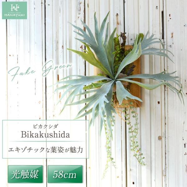 ■商品情報フェイクグリーン ビカクシダ（コウモリラン) ハンギング 吊り下げ 全長58cm光触媒加工付き全長58cmボード（板）サイズ：20cm×15cmすぐに飾れる紐付きカラーバリエーション（板の色）・ブラウン・ブラック■商品詳細独特なフ...