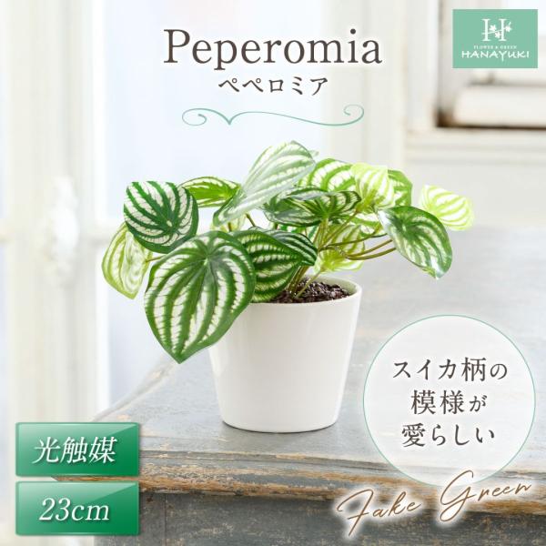 フェイクグリーン ペペロミア 卓上サイズの通販価格と最安値