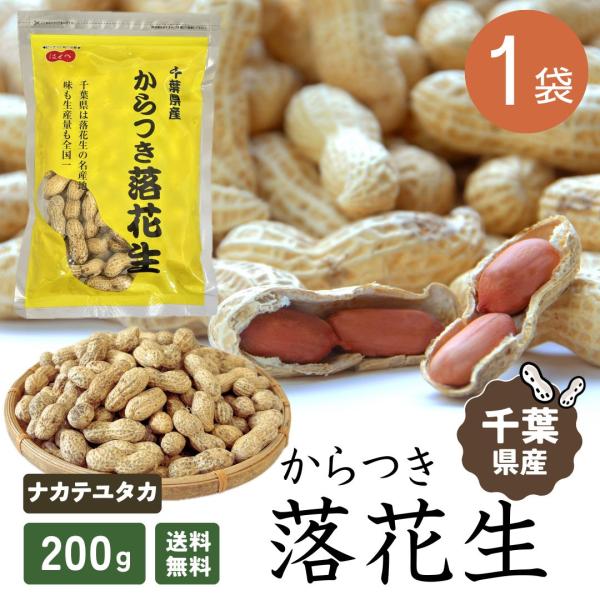 ＜商品名＞2025年 落花生 千葉県 新豆【1袋】200g 殻付き 【ナカテユタカ】 <br>＜ワード＞ピーナッツ 中手豊 国産 皮ごと 煎りざや 無添加 無着色 無塩 はせべ ちば ほぼ八街産 ナッツ ピーナツ ぴーなつ らっ...